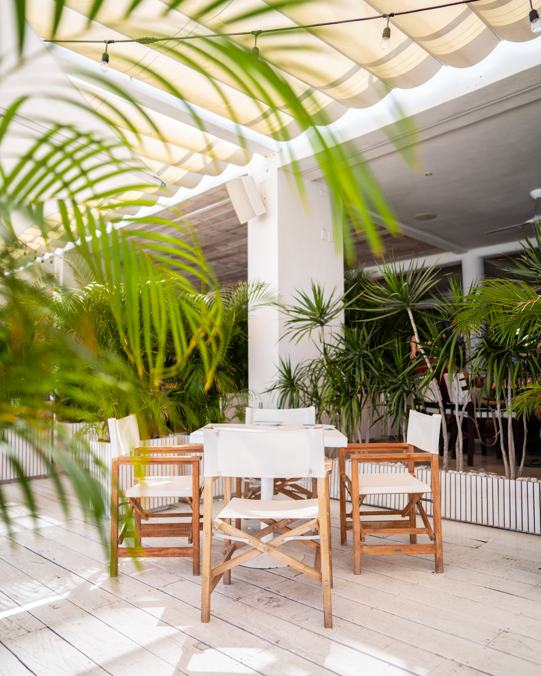 Where to Eat in Cabo Mexico - Croissants and Caviar